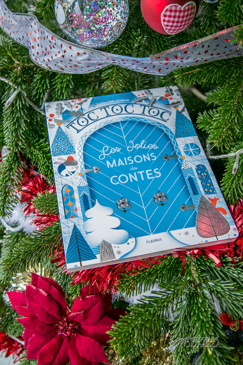 Livres pour Noel - test Fleurus - Mon blog - Modaliza photographe